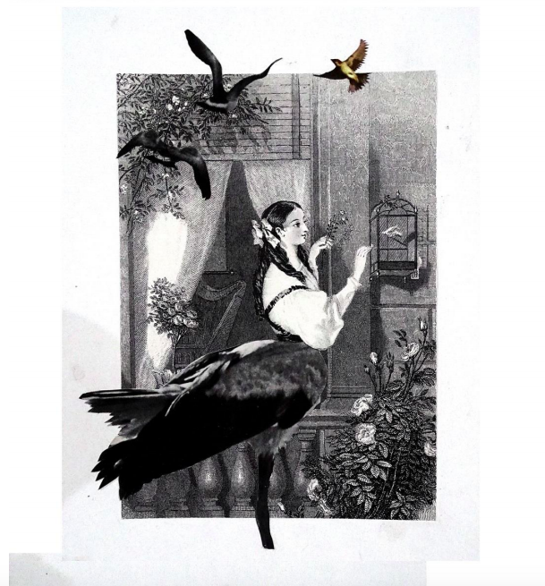 Madera (Poemas) – Campos de Plumas