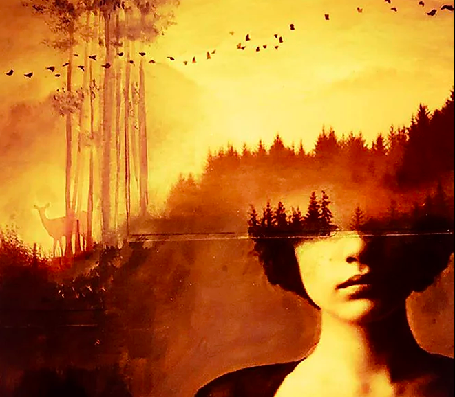 Ese lugar del que hablas – Campos de Plumas