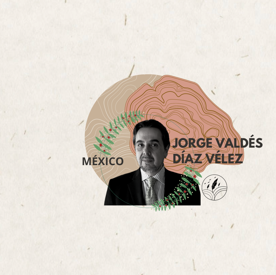 Un cosmos interior – Campos de Plumas