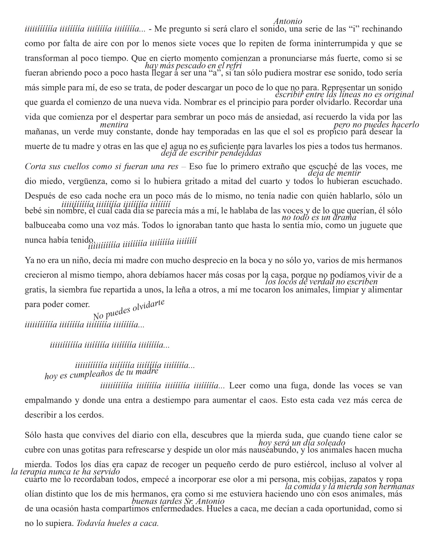 Onomatopeya para el chillido de un cerdo – Campos de Plumas
